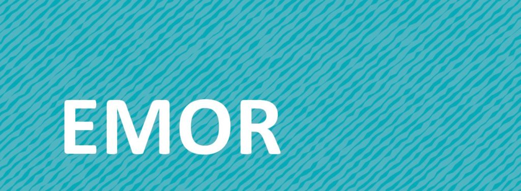 eMOR SITE - Torah Tidbits